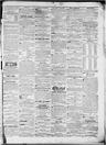 Harriet Glavin Familiengeschichte & historische Aufzeichnungen - MyHeritage