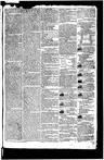 Thomas Paine (Pain) (1737 - 1809) - Genealogy