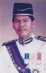 Tan Sri Dato' Seri Diraja Ramli Bin Ngah Talib - Genealogy